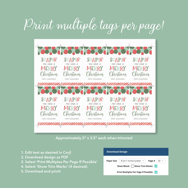 Soapin You Have a Merry Christmas Tag Template - Little Folk Printables