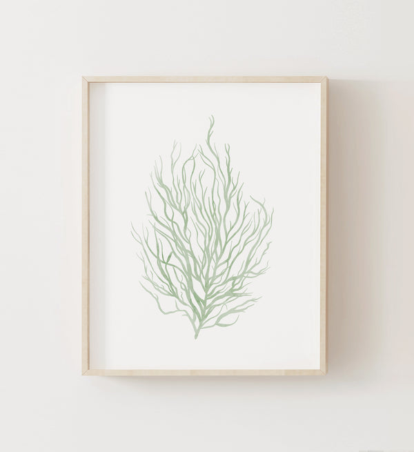 Seaweed Print No. 1 - Little Folk Printables