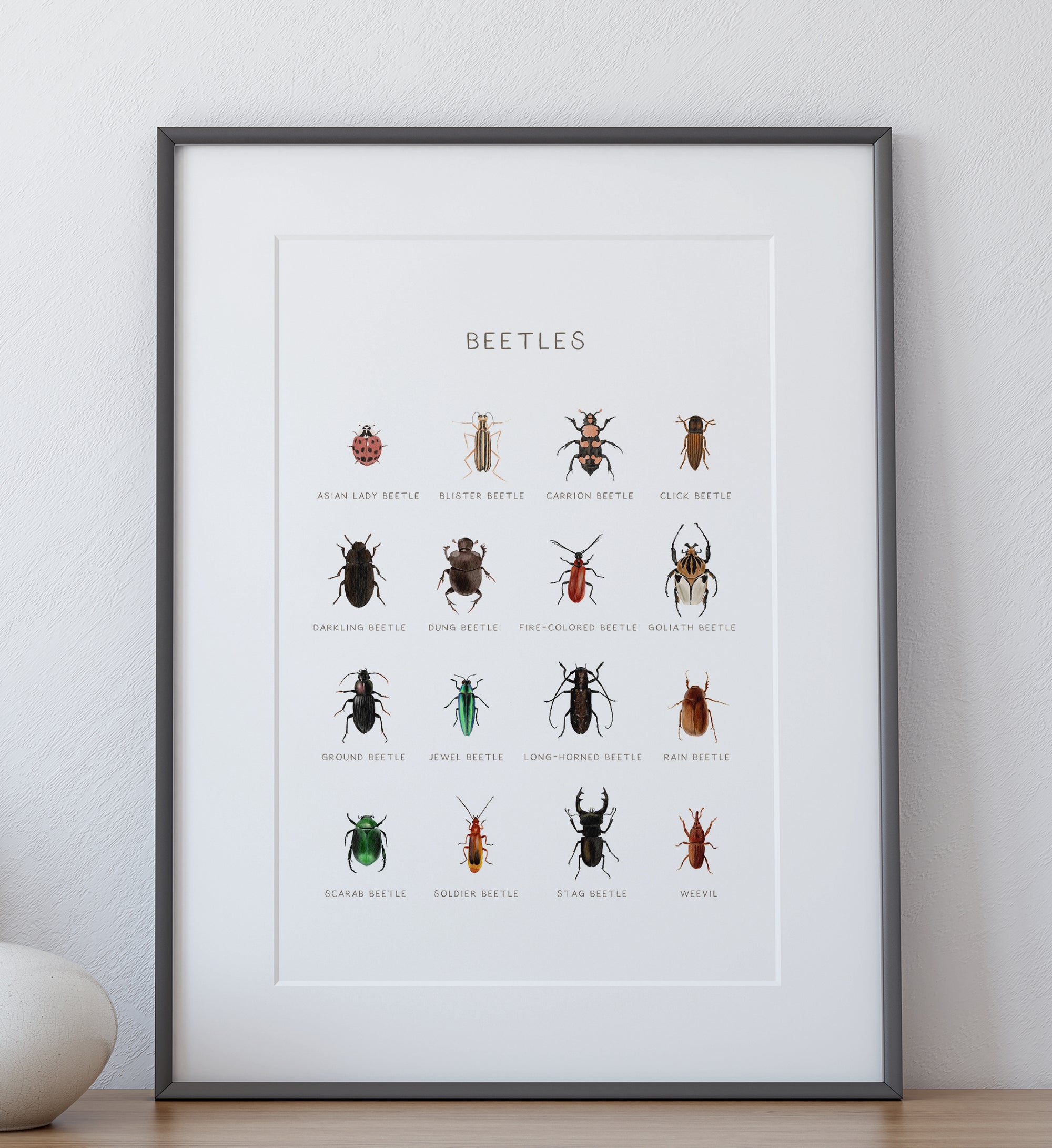 Beetles Print - Little Folk Printables